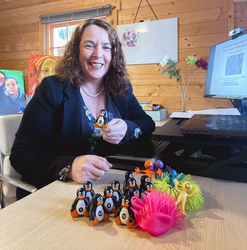 Contact - Sue Garner