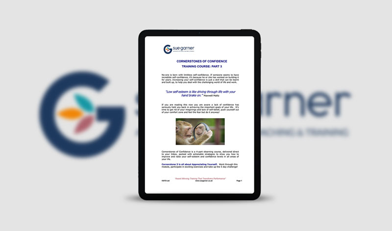 Appreciate Yourself - Sue Garner